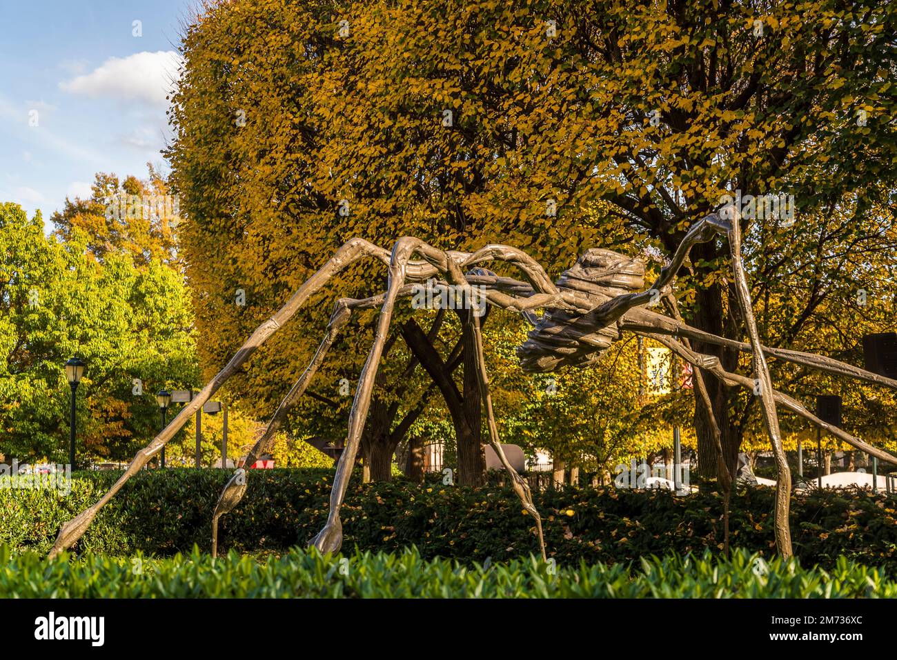 Louise Bourgeois: Spider, National Gallery of Art – Sculpture Garden ...