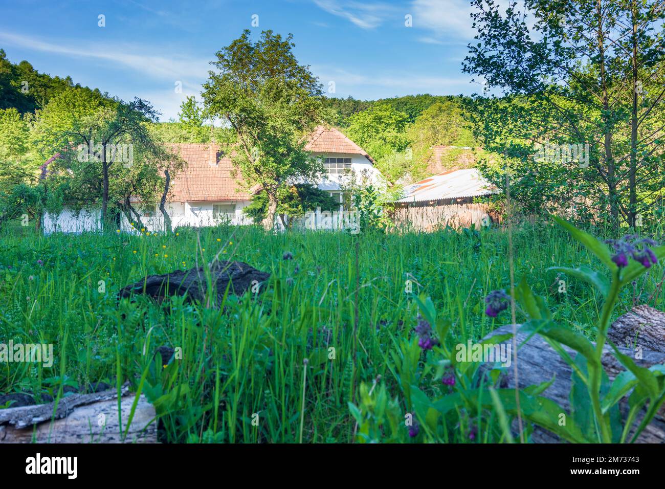 Tura luka hi-res stock photography and images - Alamy