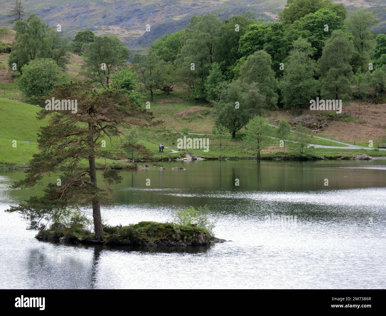 Tarn Hows, Lake District National Park, Cumbria, England, UK in Spring ...