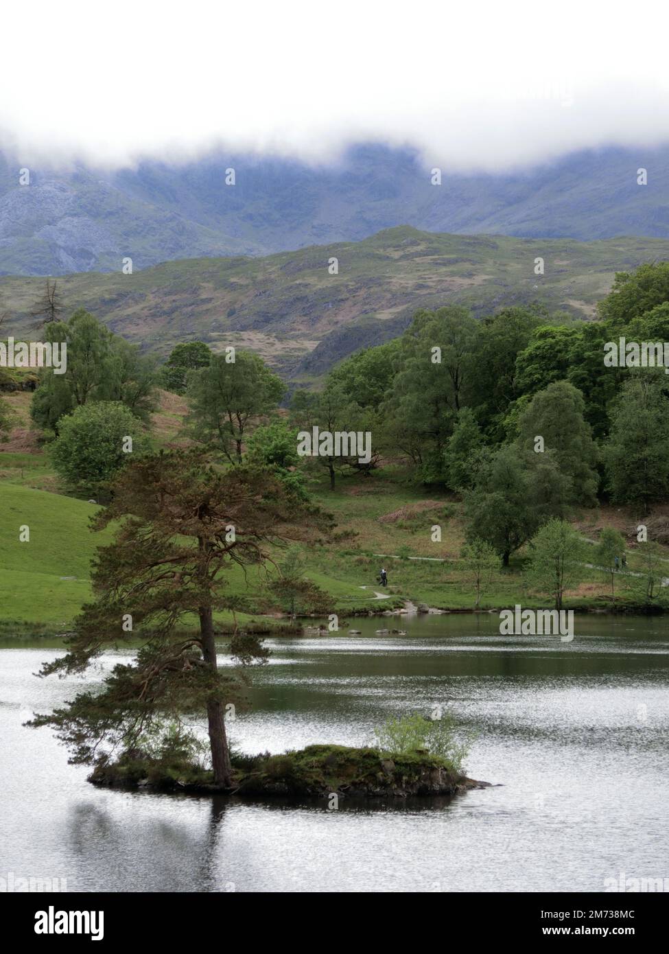 Tarn Hows, Lake District National Park, Cumbria, England, UK in Spring ...