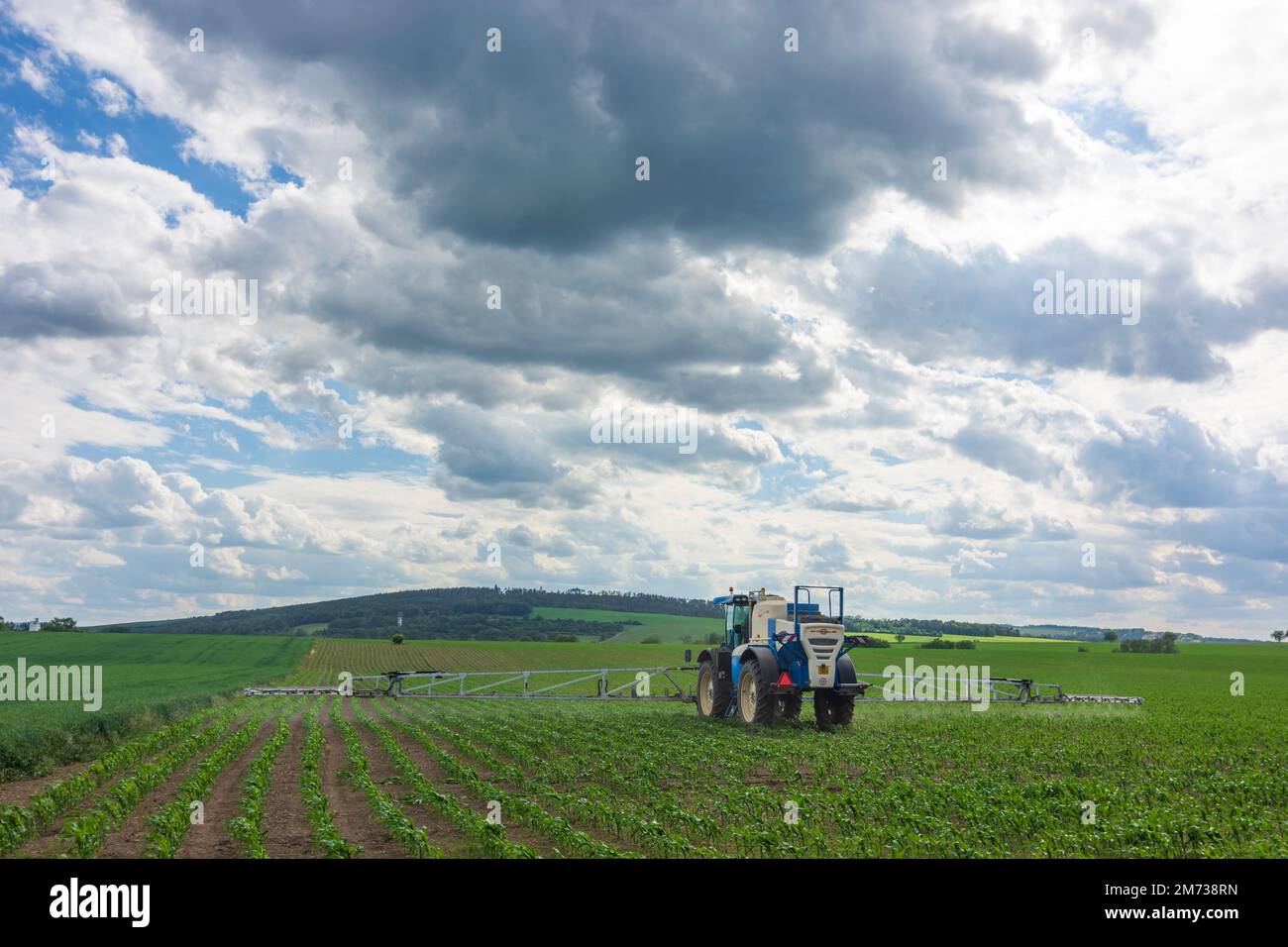 Hluk (Hulken): tractor with a sprayer on a maize field in , Zlinsky ...