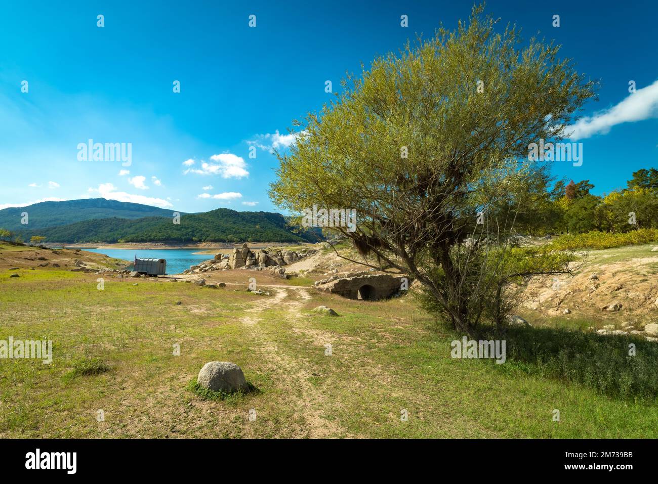 A beautiful view of the forest near the lake in Spain Stock Photo - Alamy