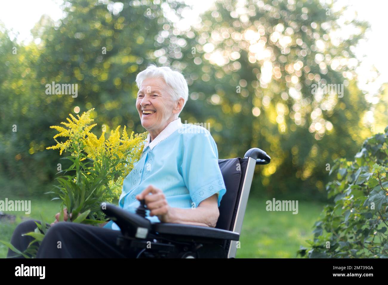 happy old senior woman sitting in a wheelchair and holding a bouquet of ...