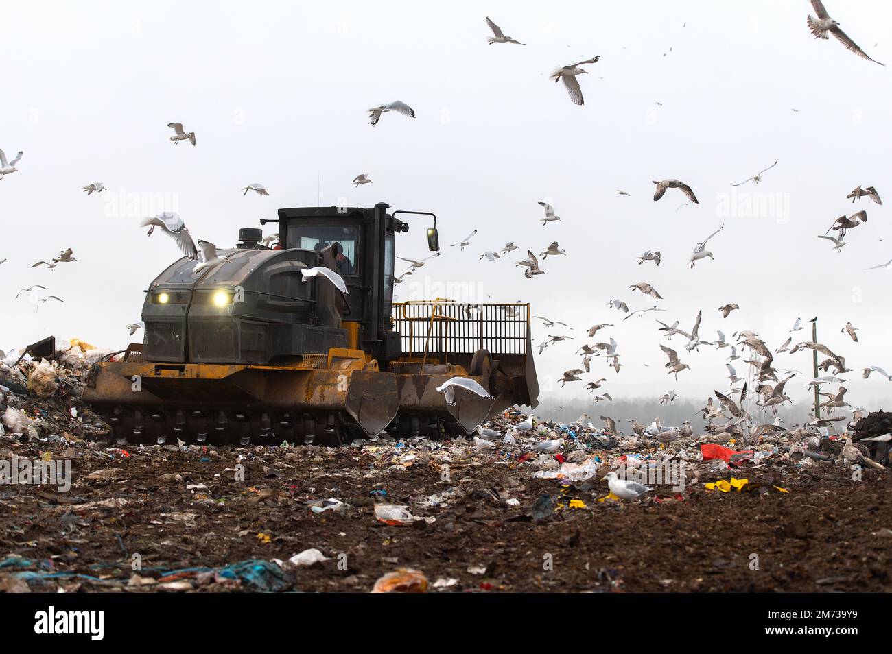 Machinery working on waste in landfill, refuse collection with ...