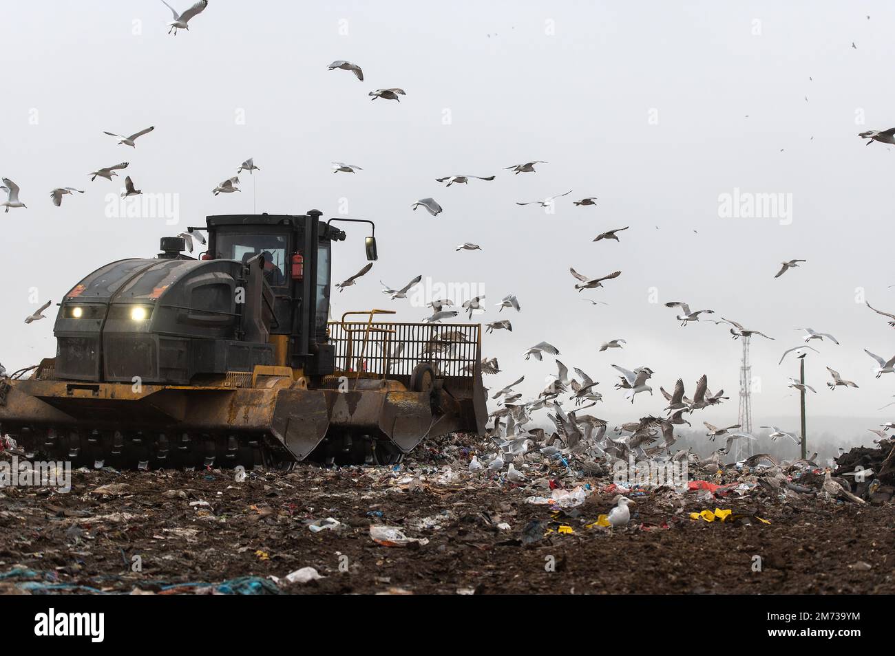 Machinery working on waste in landfill, refuse collection with ...