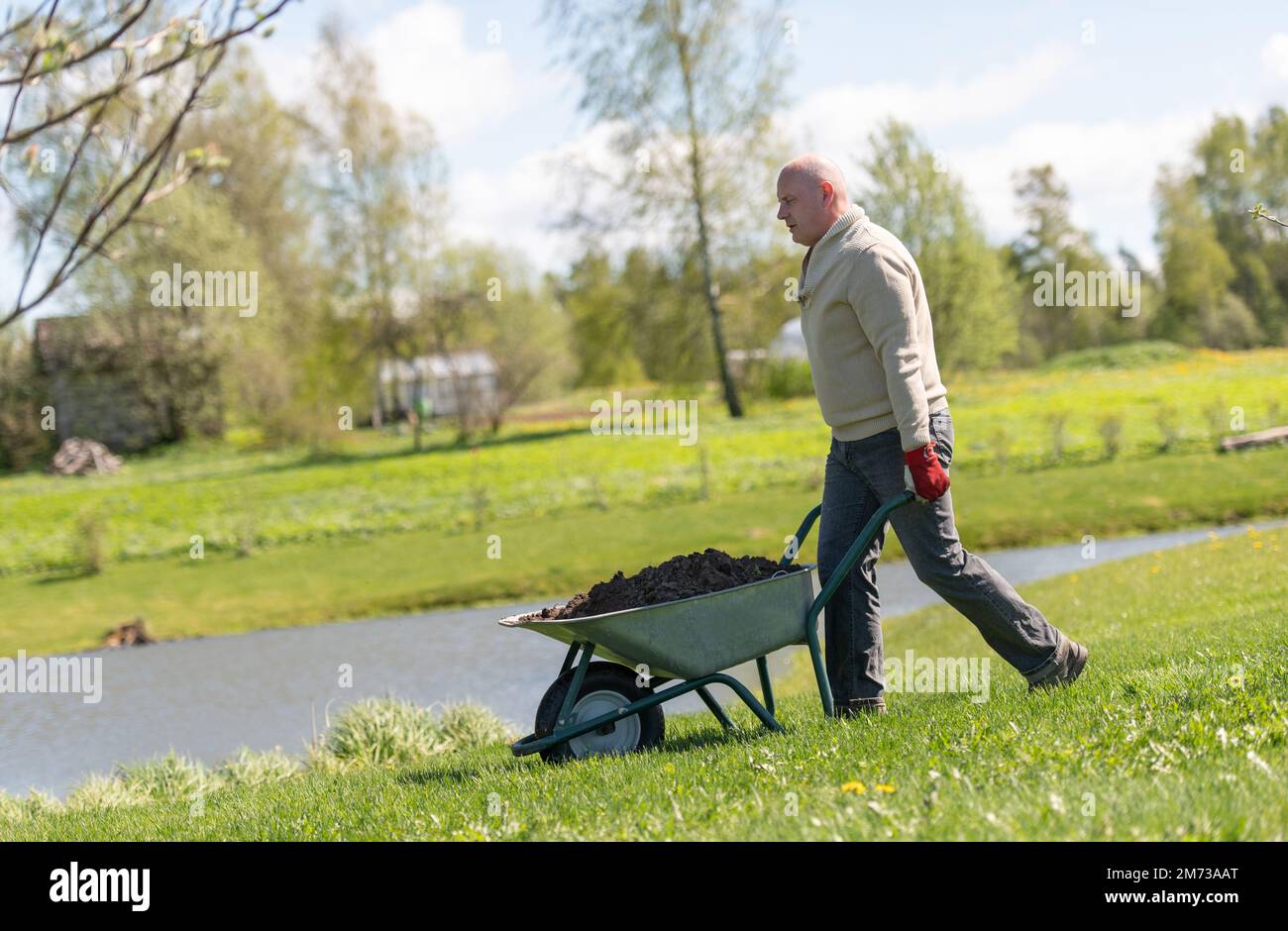 Middle -aged male farmer pushing wheelbarrow in the field Stock Photo ...