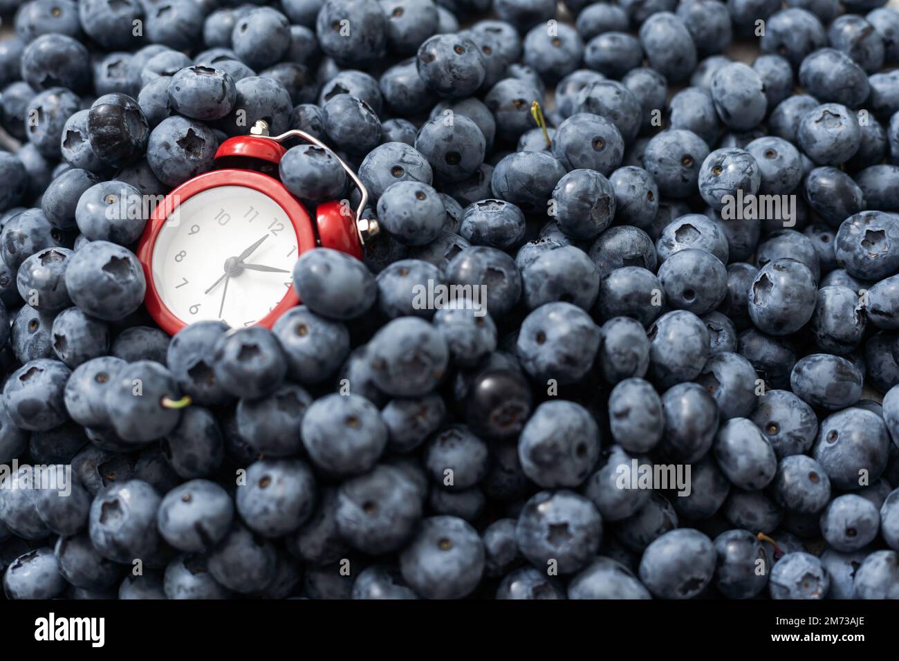 Creative concept composition flat lay top view red alarm clock ...