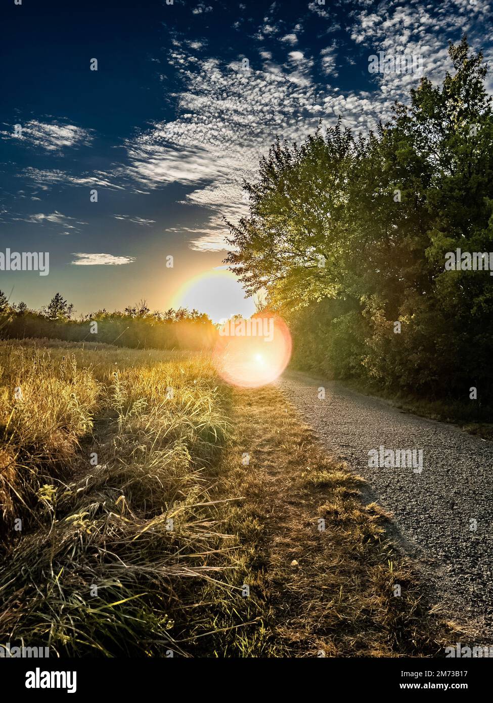 A vertical shot of a walking path in a field during the sunset Stock ...