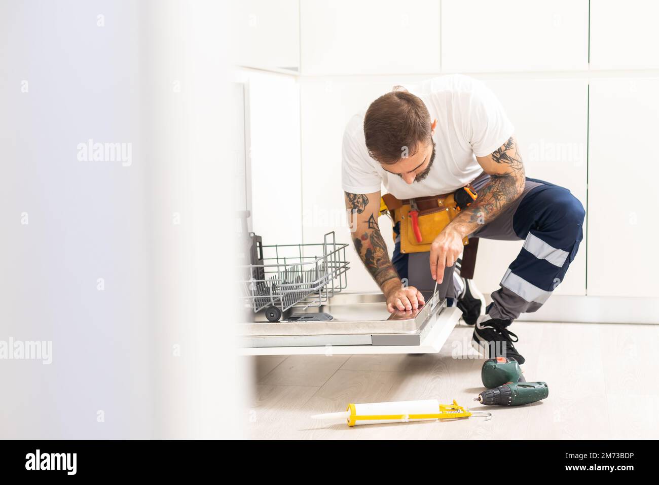Crafts man repairs broken dishwasher Stock Photo - Alamy