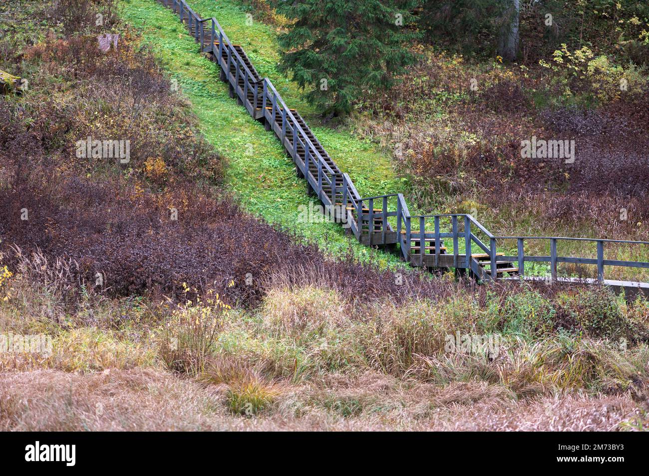 Claiming stairs hi-res stock photography and images - Alamy