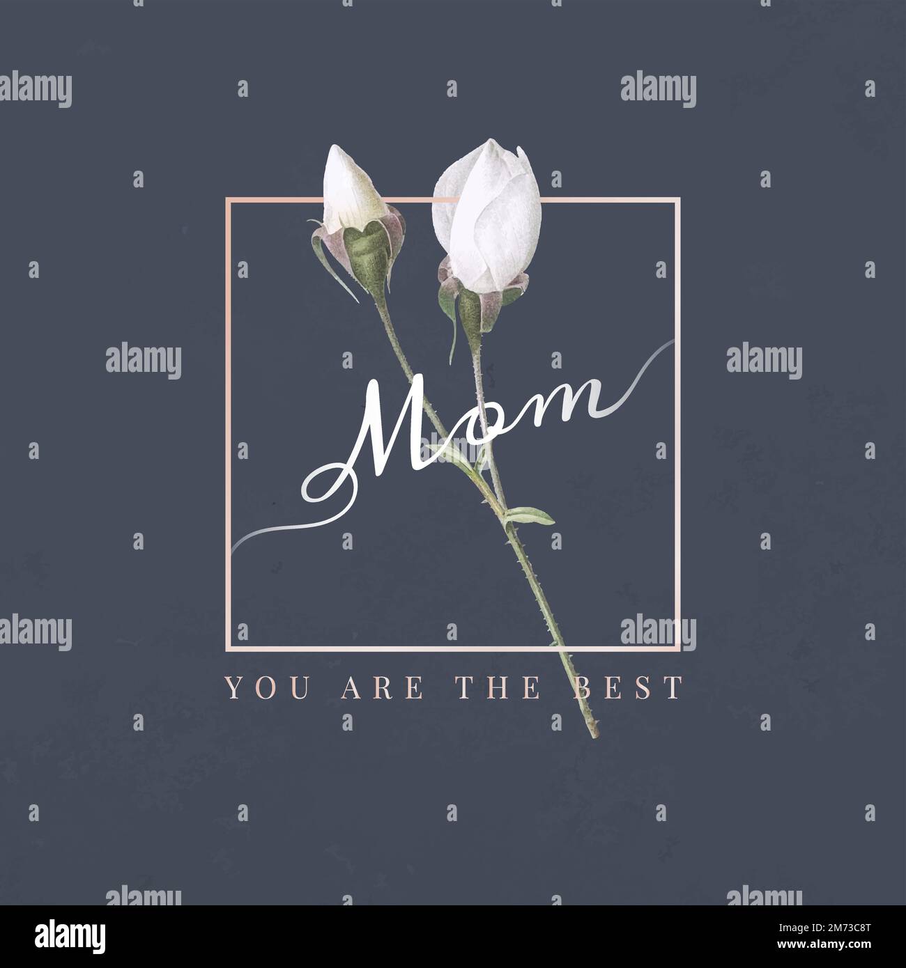 Floral elegant mother's day card vector Stock Vector Image & Art - Alamy