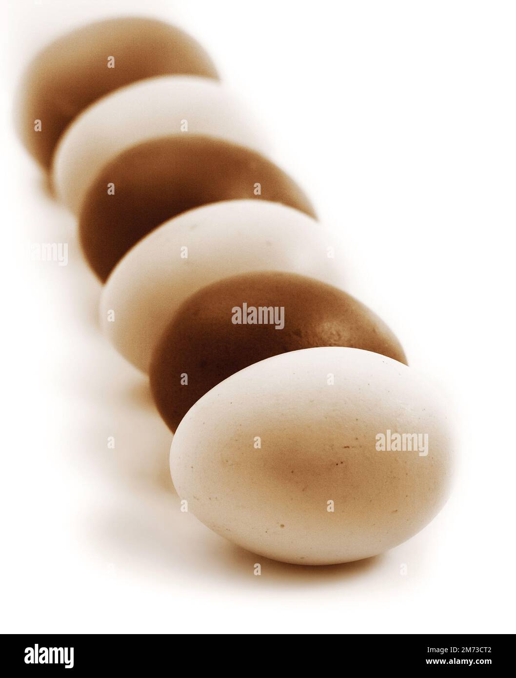 row of colored eggs, isolated Stock Photo - Alamy