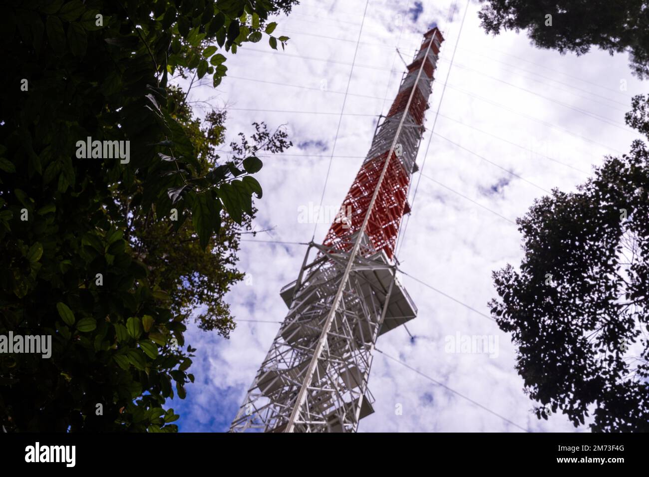 Manaus, Brazil. 02nd Jan, 2023. The measuring tower of the Amazon Tall ...