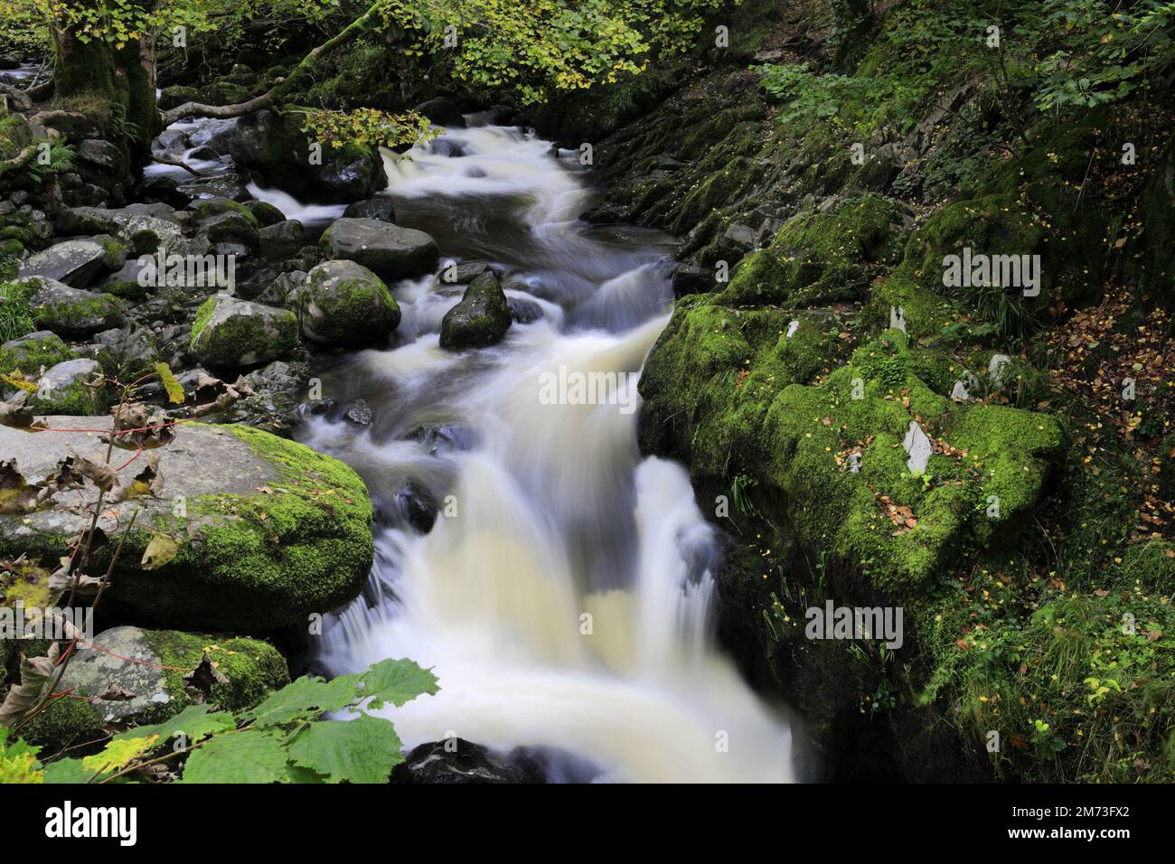 Autumn colours at Aira Beck, Aira Force waterfall, Ullswater, Lake ...