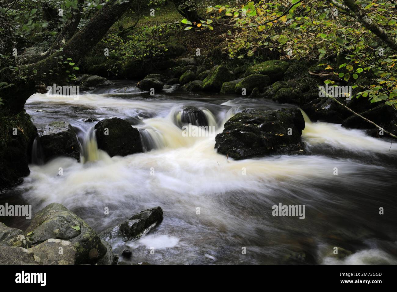 Autumn colours at Aira Beck, Aira Force waterfall, Ullswater, Lake ...