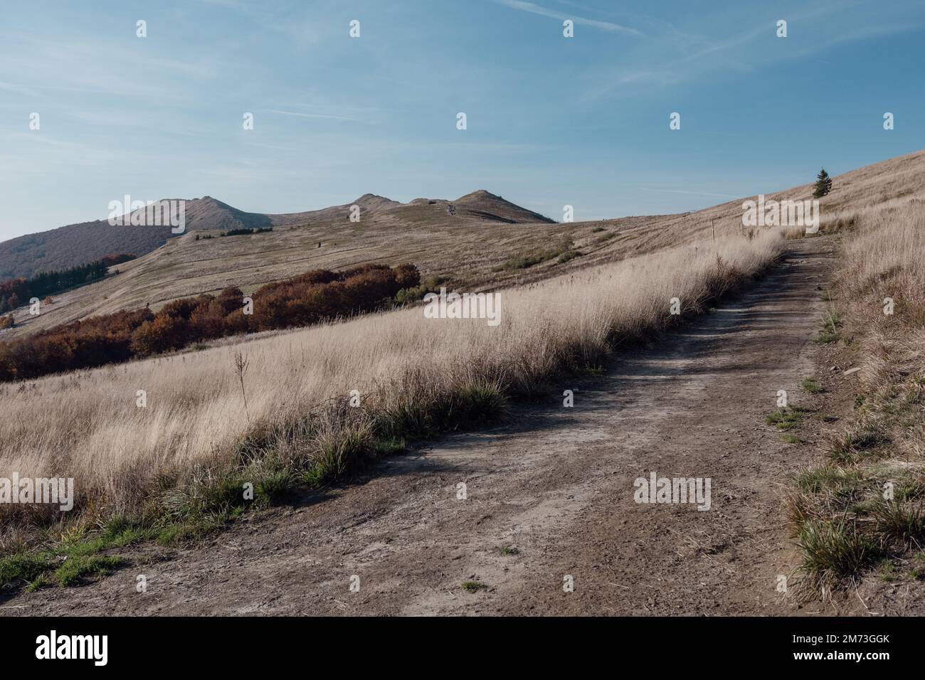 Grassy steppes hi-res stock photography and images - Alamy