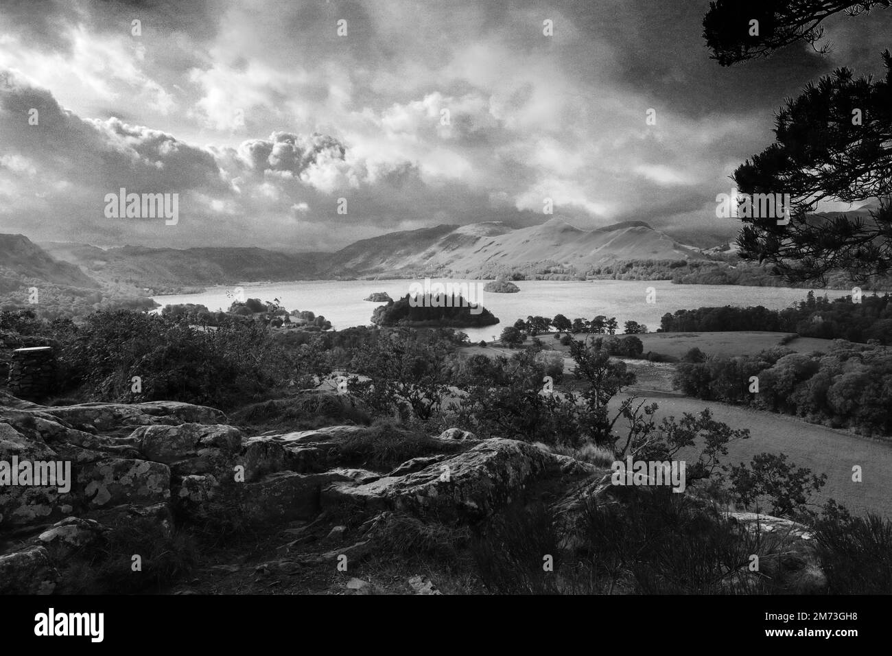 Cockshot Black and White Stock Photos & Images - Alamy