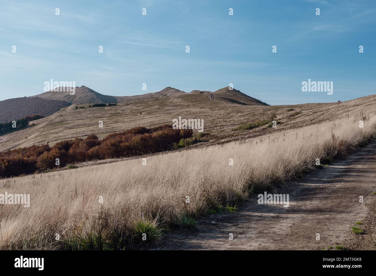Grassy steppes hi-res stock photography and images - Alamy