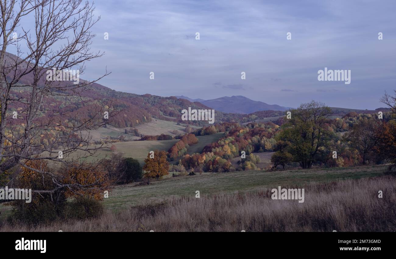 Grassy steppes in the mountains in autumn Stock Photo - Alamy