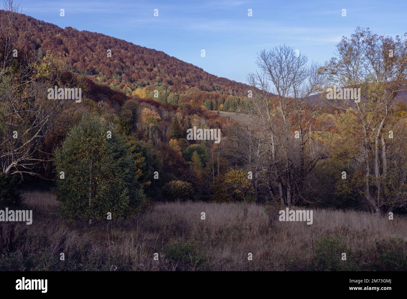 Grassy steppes hi-res stock photography and images - Alamy