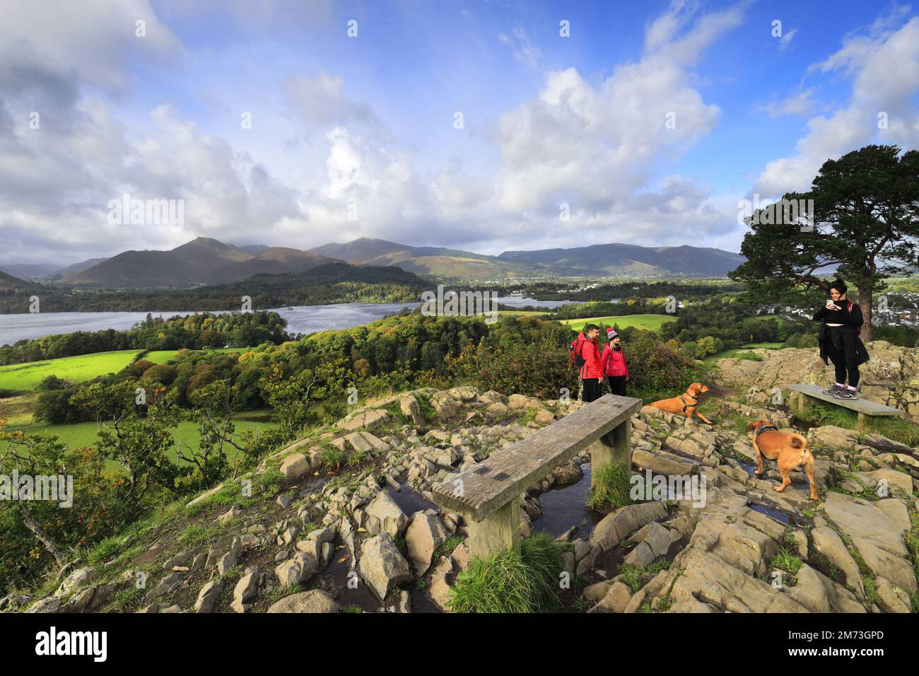 Walker on Castlehead fell above Derwentwater, Keswick town, Cumbria ...