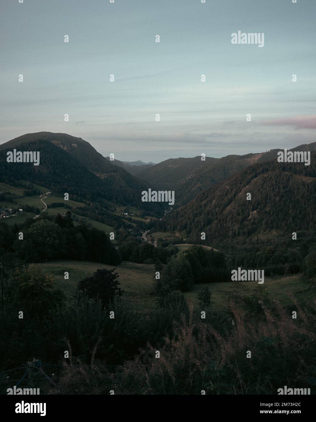 A vertical shot of mountains landscape covered with green nature under ...