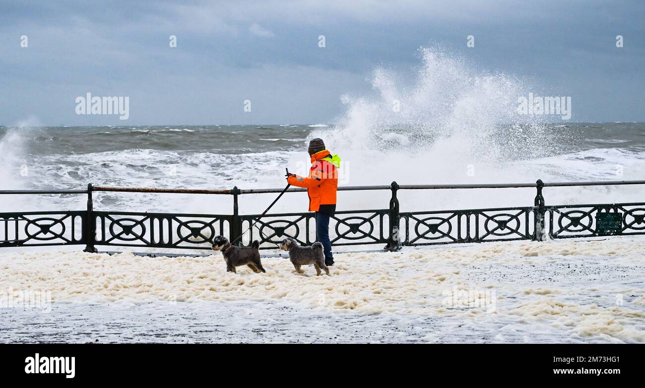 Hove seafront dogs hi-res stock photography and images - Alamy