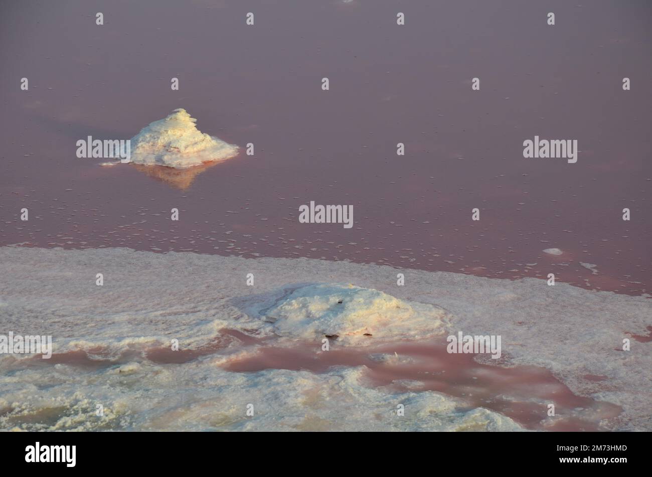 closeup of salt crystals in the shallow pink coloured water of "pink ...