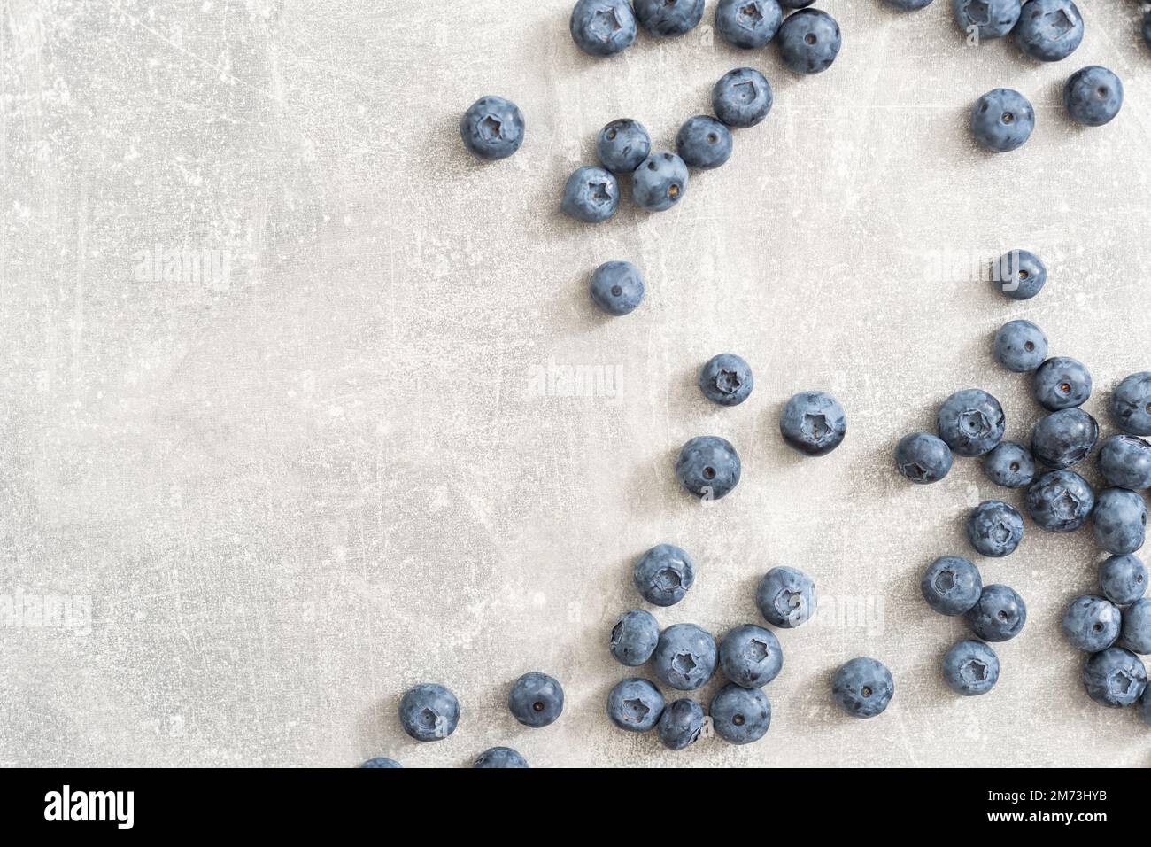 Raw Organic Blueberries on a gray background, side view. Copy space ...