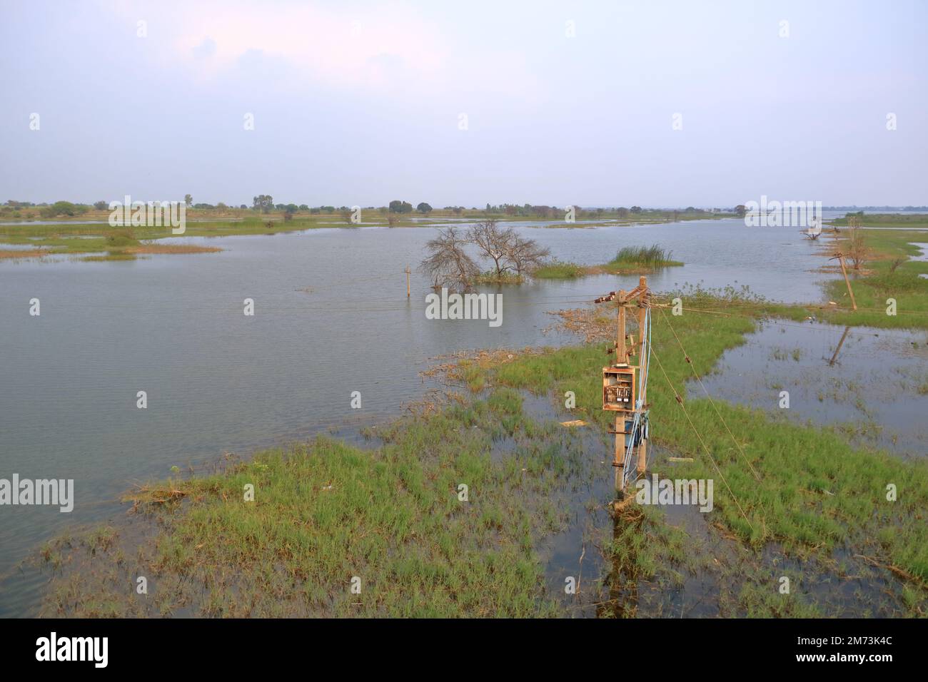 South india beach with cows hi-res stock photography and images - Alamy