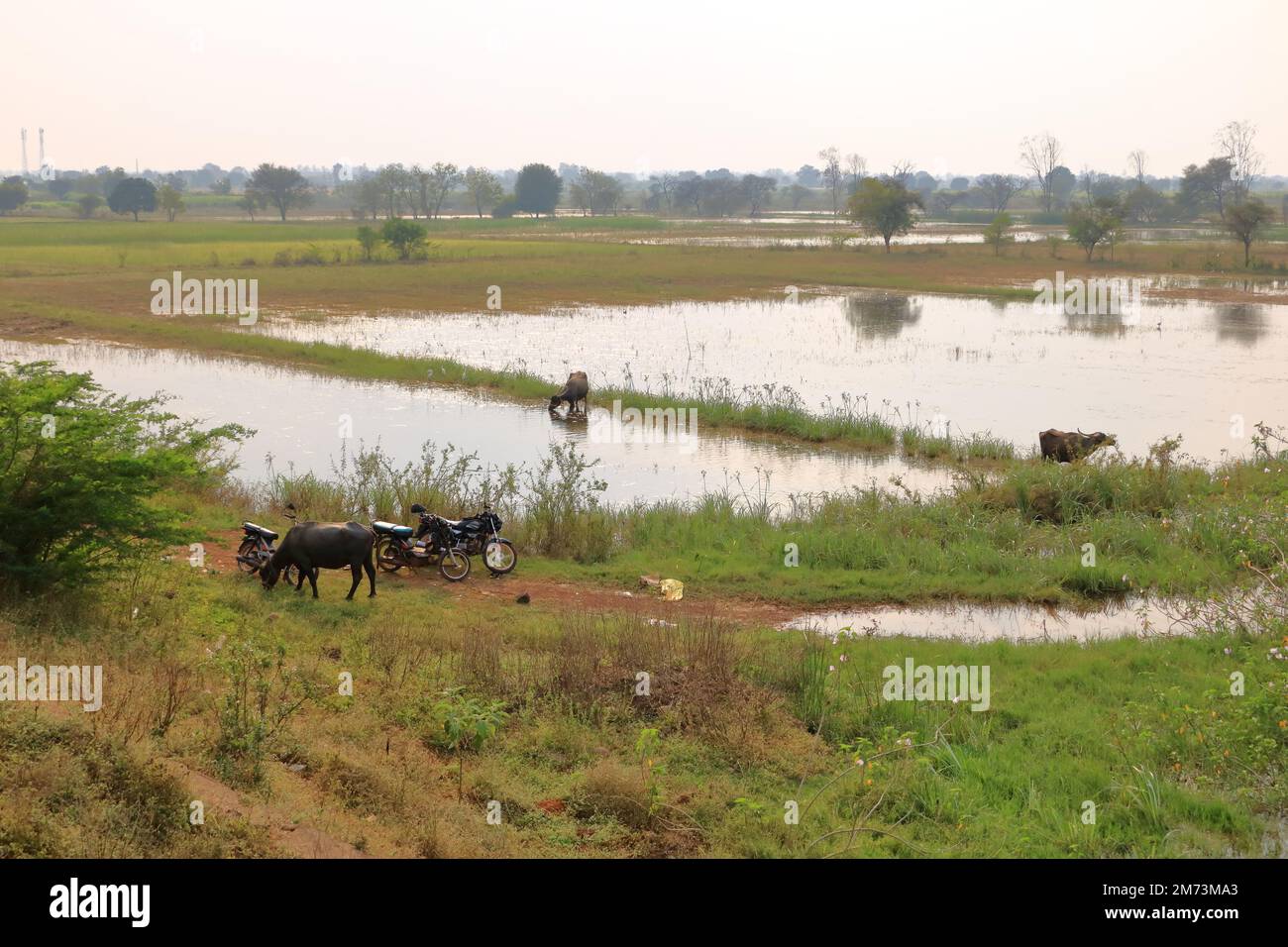 Backwater karnataka hi-res stock photography and images - Alamy