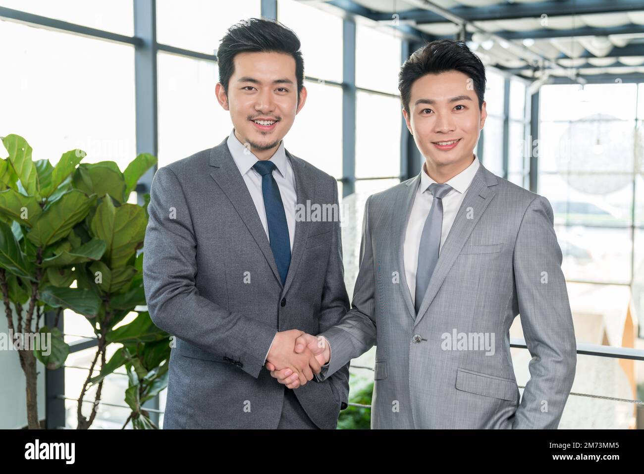 Business people shake hands Stock Photo - Alamy