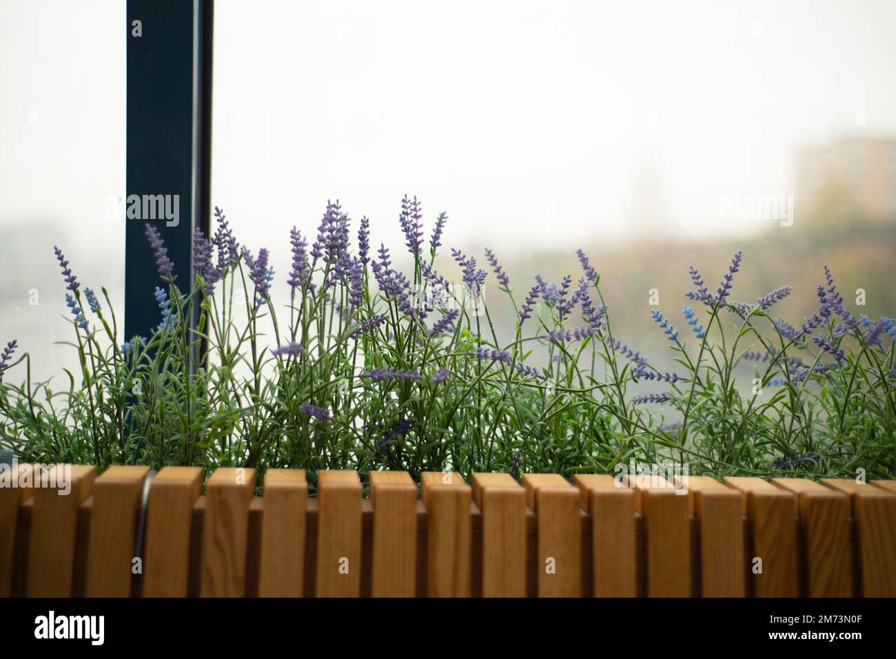 Large window and rain outside. Window sill decoration with artificial ...