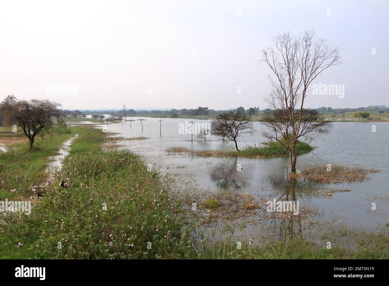 Backwaters near Bidar, Karnataka in India Stock Photo - Alamy