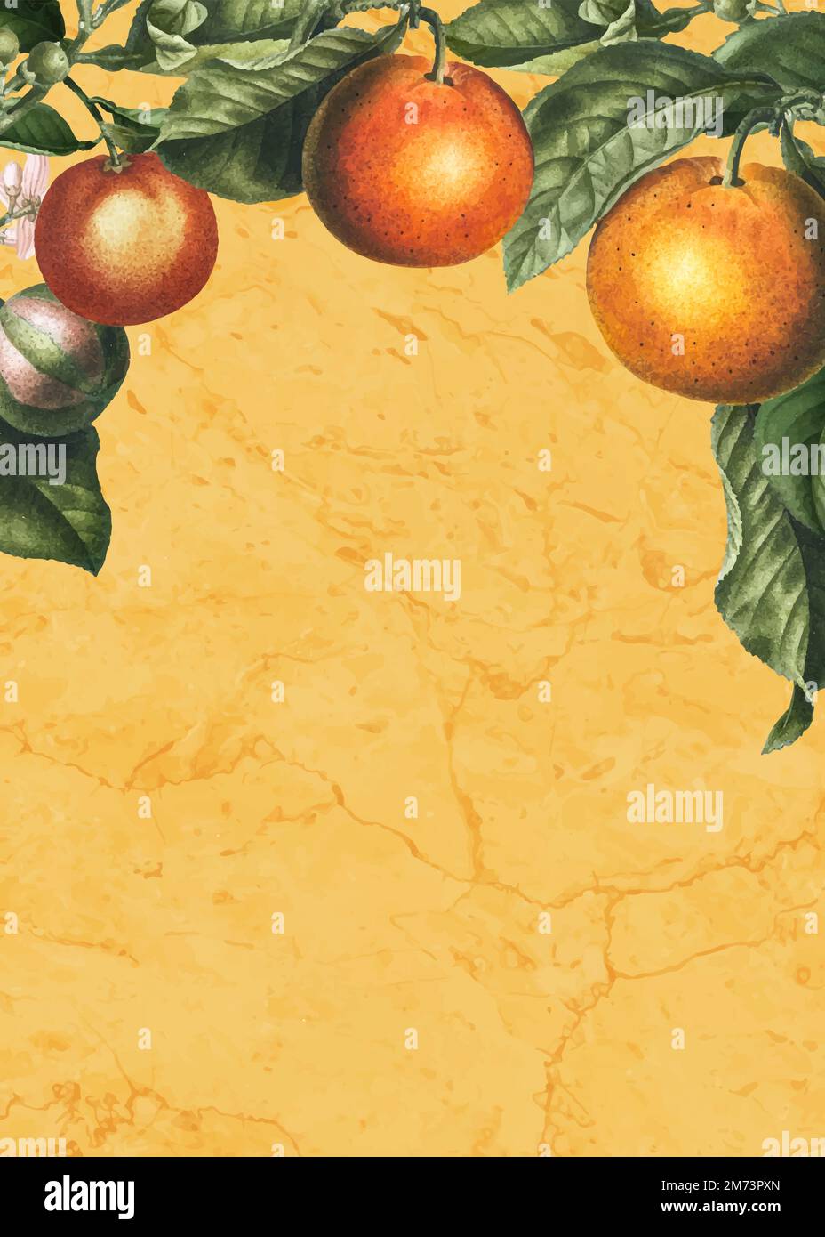 Tropical oranges on a yellow marble texture vector Stock Vector Image ...