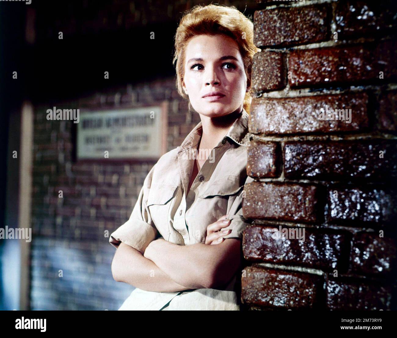 ANGIE DICKINSON in THE SINS OF RACHEL CADE (1961), directed by GORDON ...