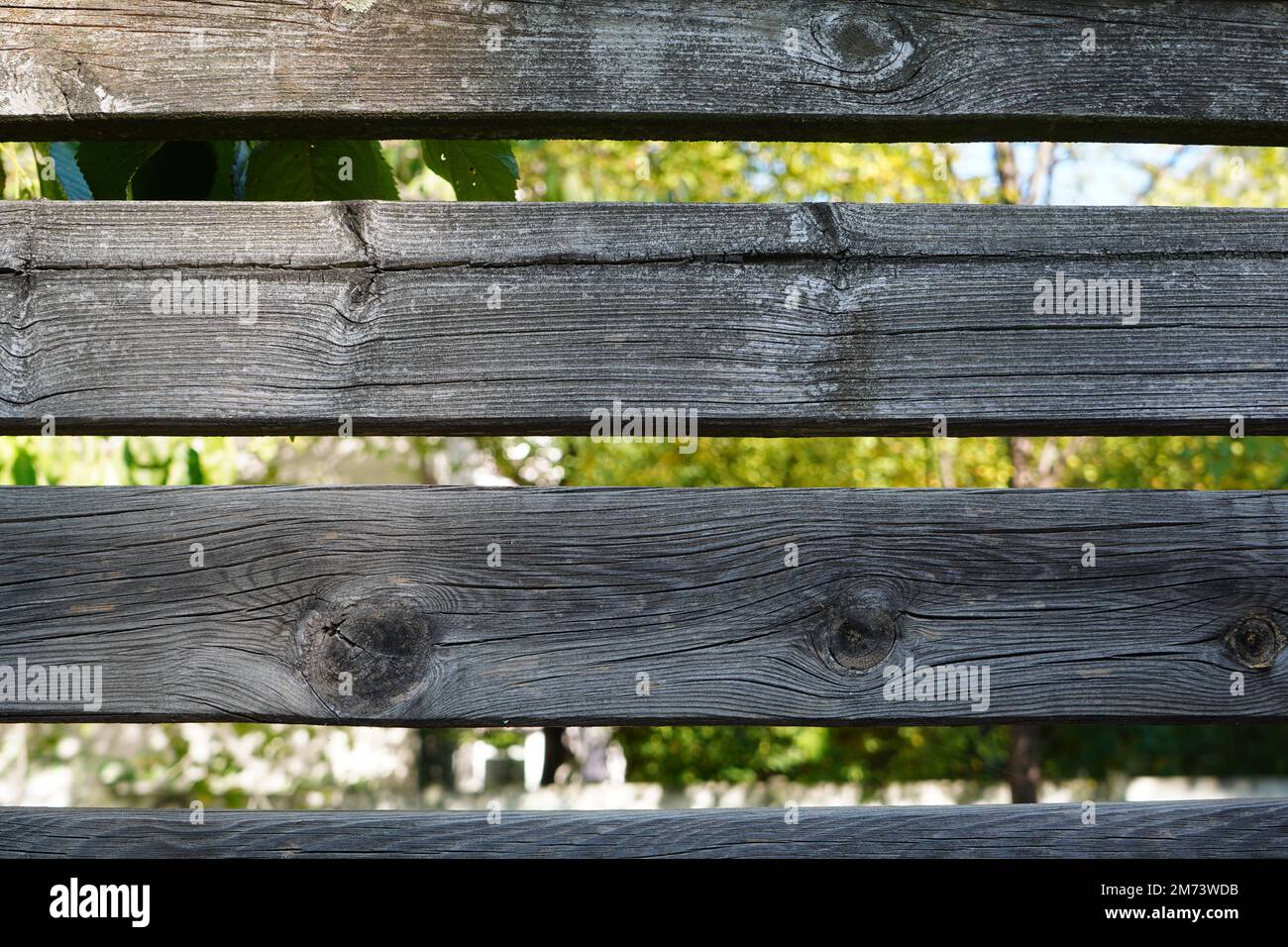 Rough textured surface with cracks and knots of rustic old fence of ...