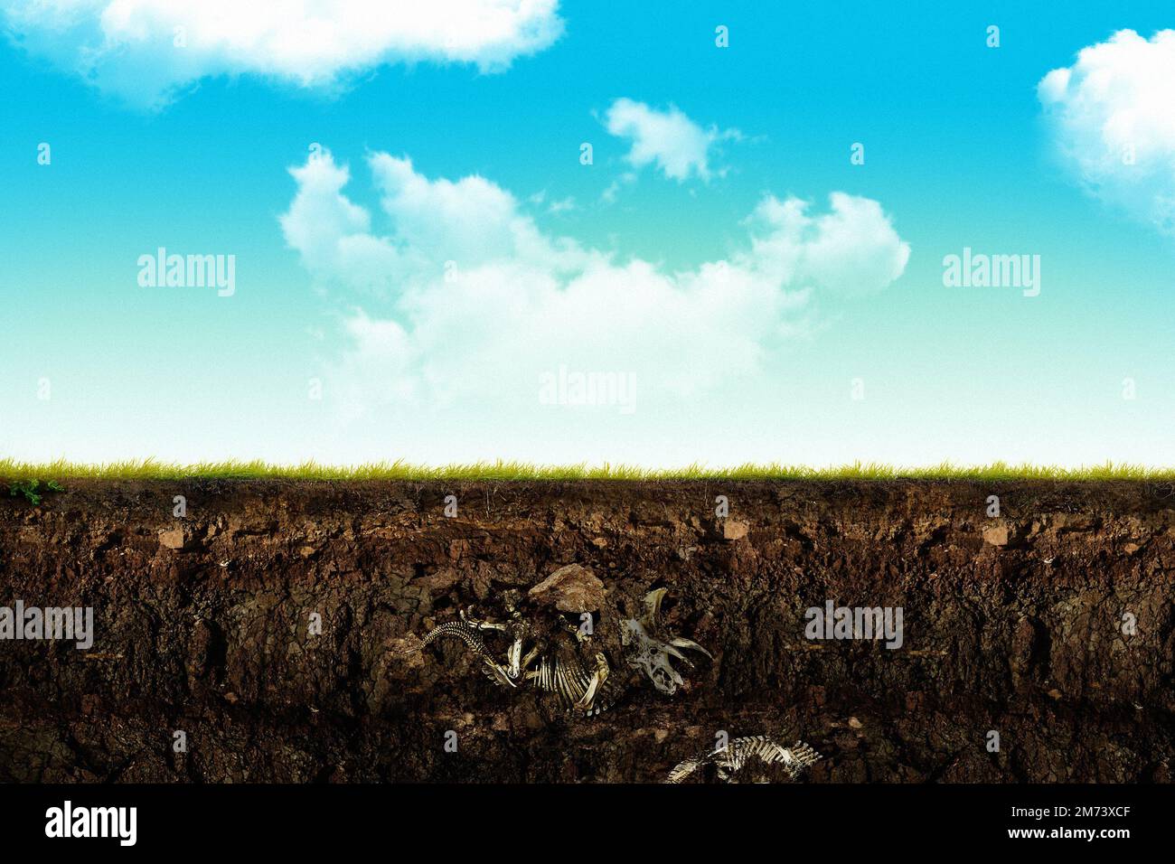 Dinosaurs skulls, reptile skeleton bones, soil deep layers cross ...