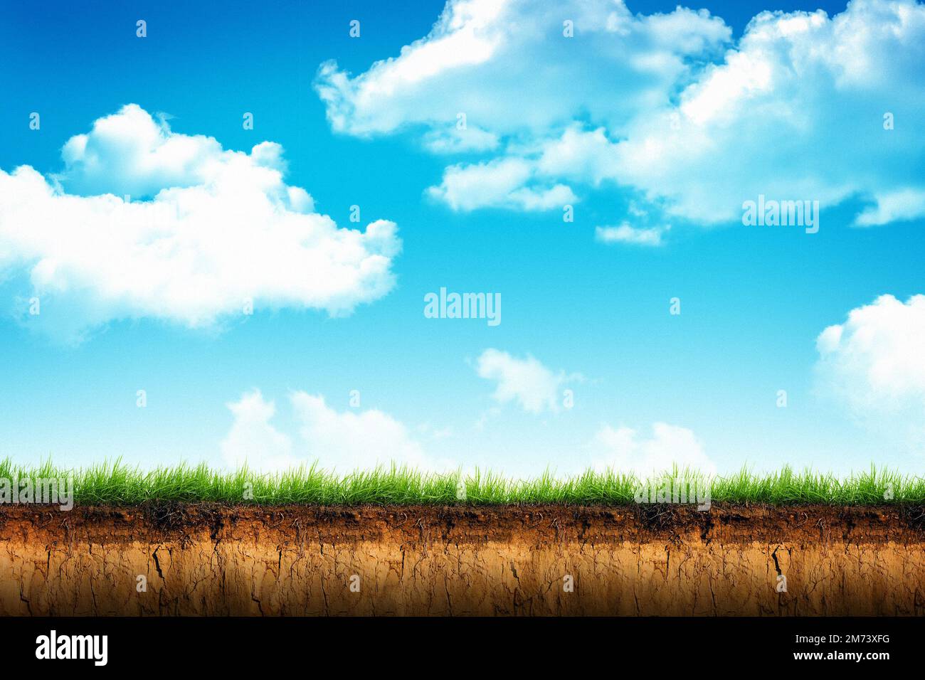 Cross section brown soil and green grass, Under ground with blue sky in ...