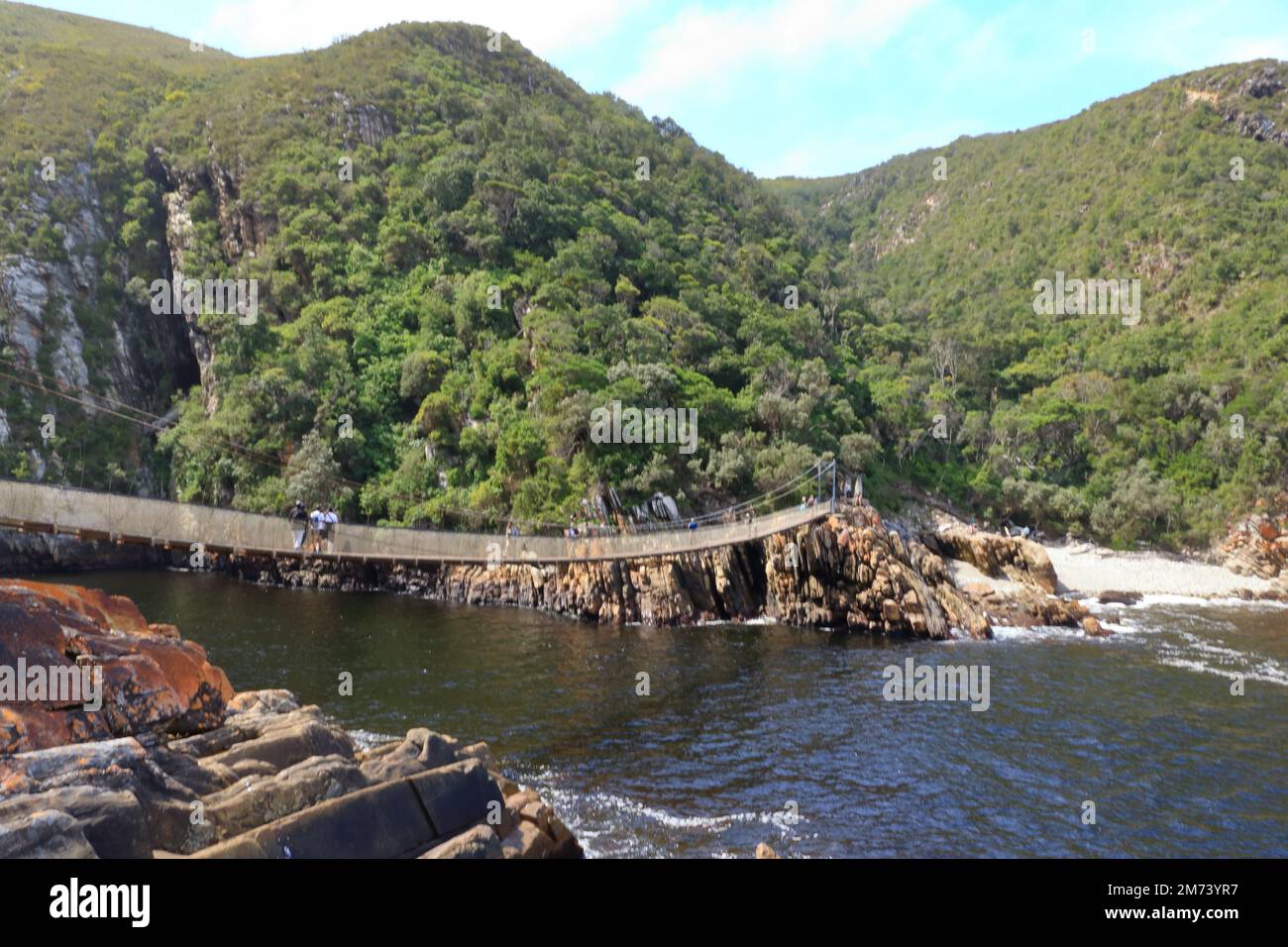 suspension bridge over storm river, tsitsikamma national park in south ...