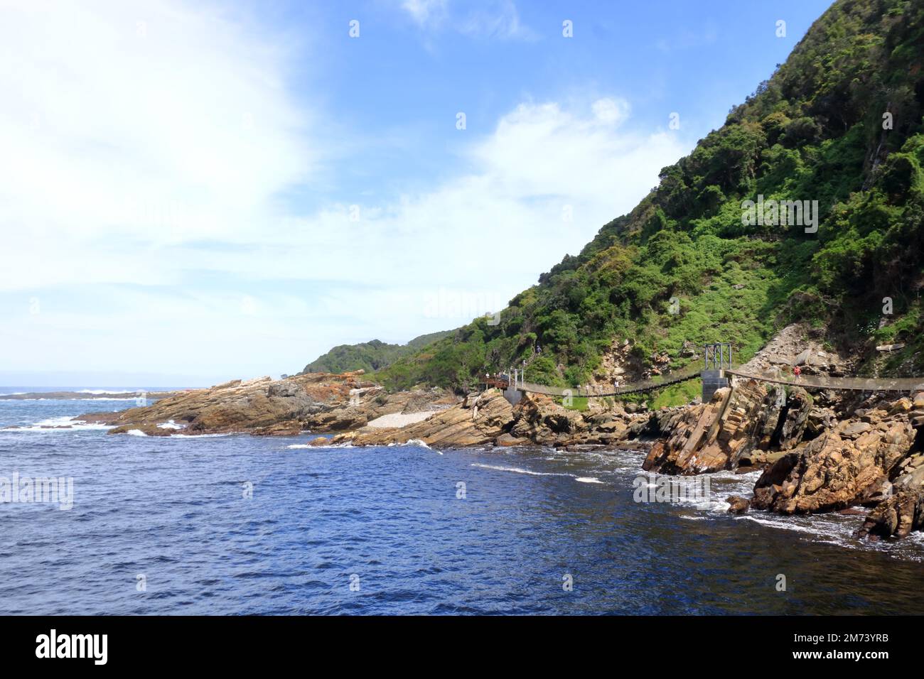 suspension bridge over storm river, tsitsikamma national park in south ...