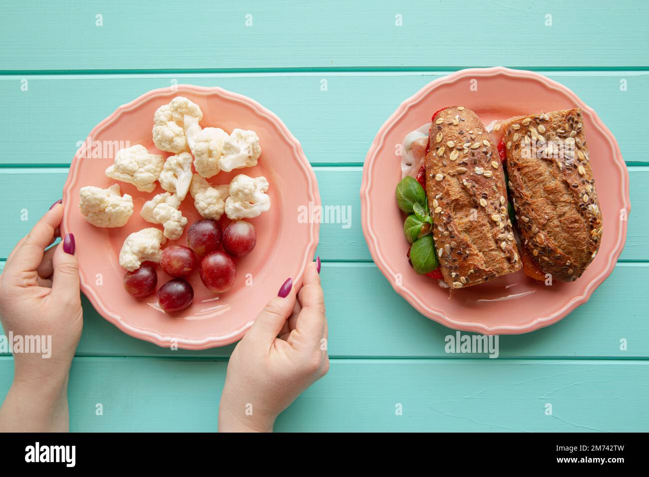 Choice concept of healthy food and diet. Plate with sandwiches and ...