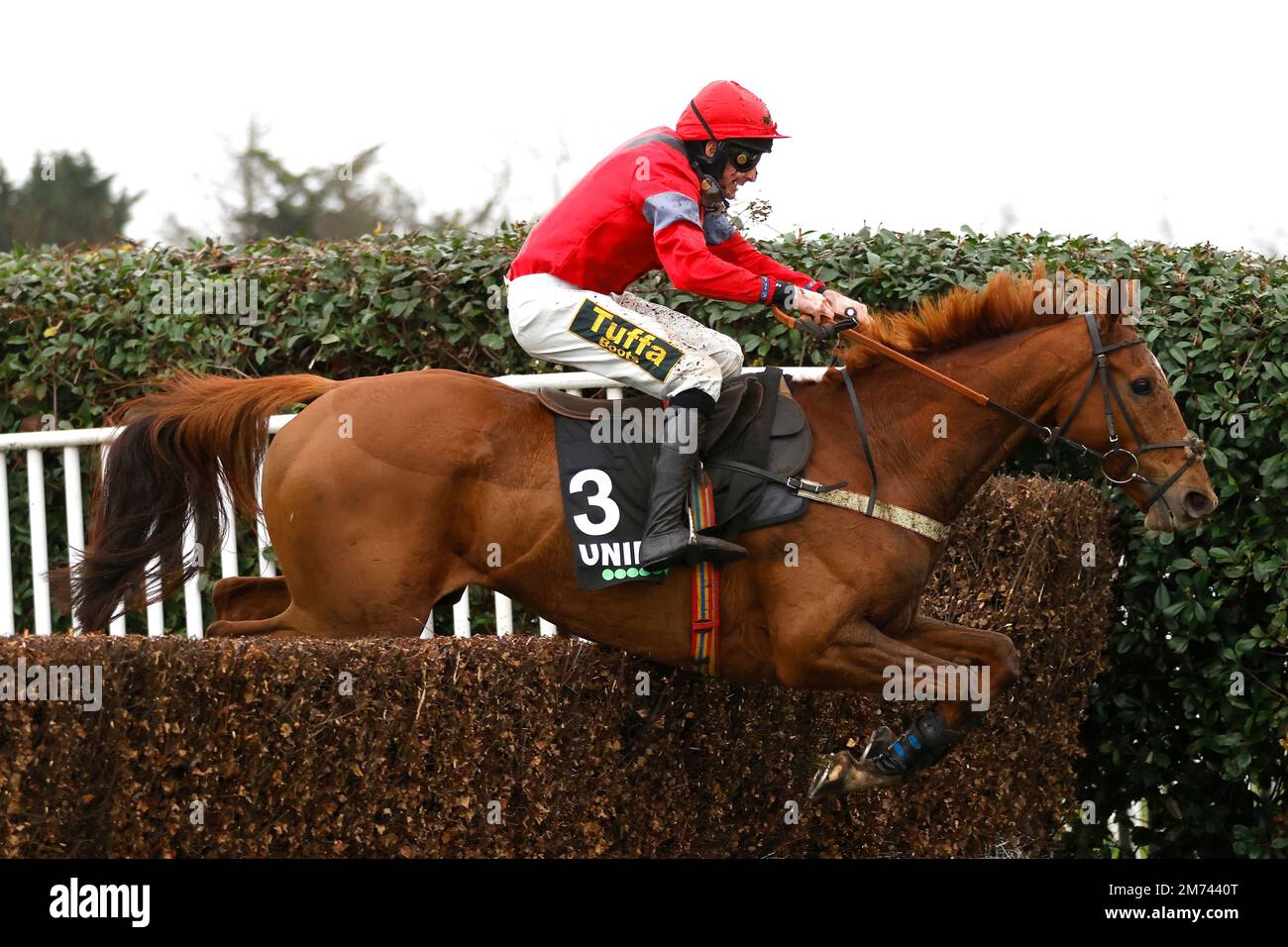 Marc goldstein jockey hi-res stock photography and images - Alamy