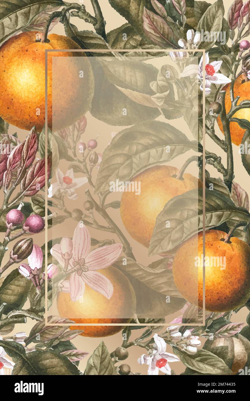 Blank tropical orange card vector Stock Vector Image & Art - Alamy