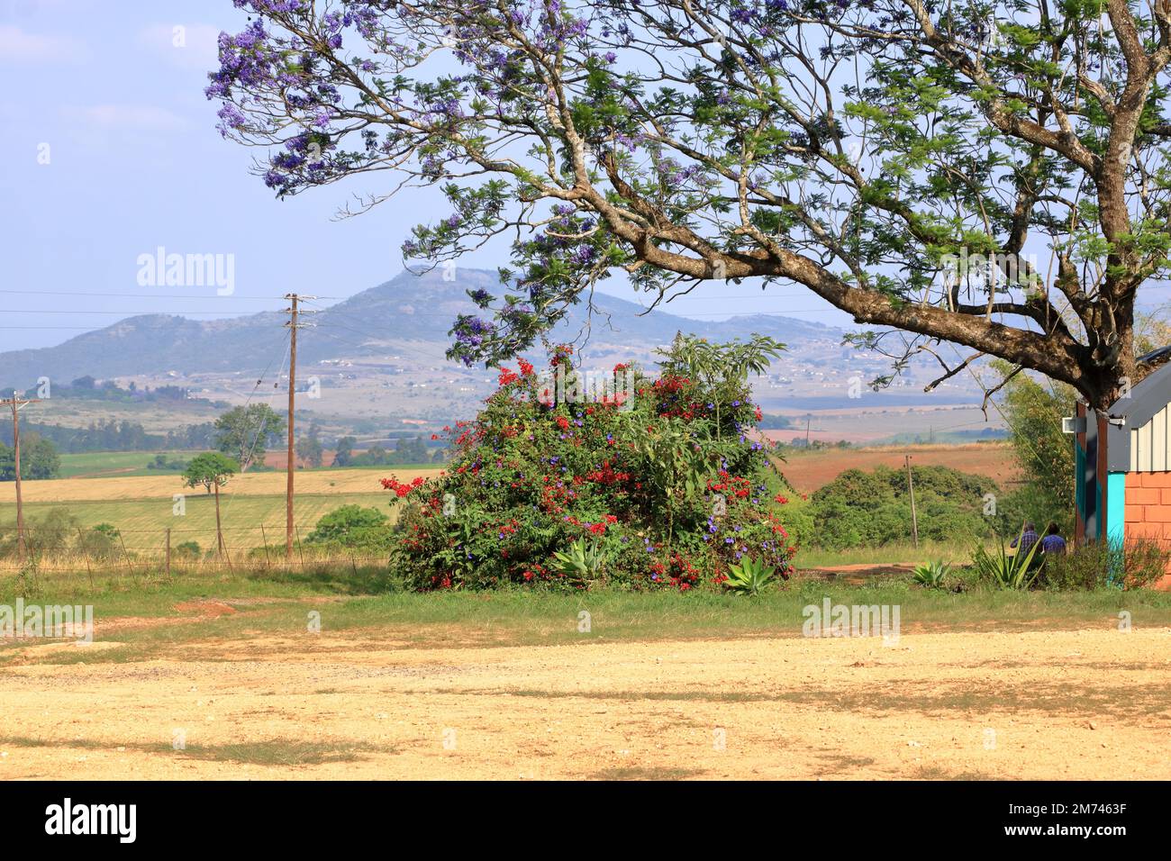 landscape scene in Swaziland kingdom of Eswatini Stock Photo - Alamy