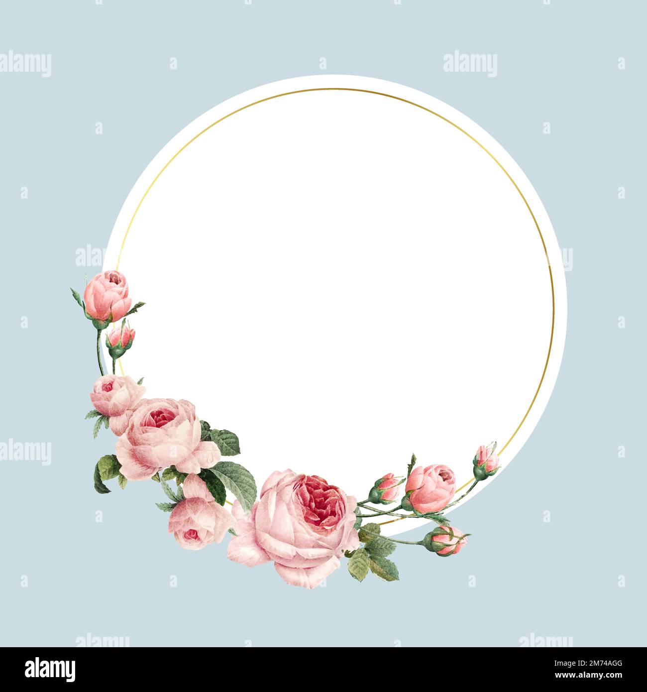 Blank round pink roses frame vector on blue background Stock Vector Image & Art - Alamy