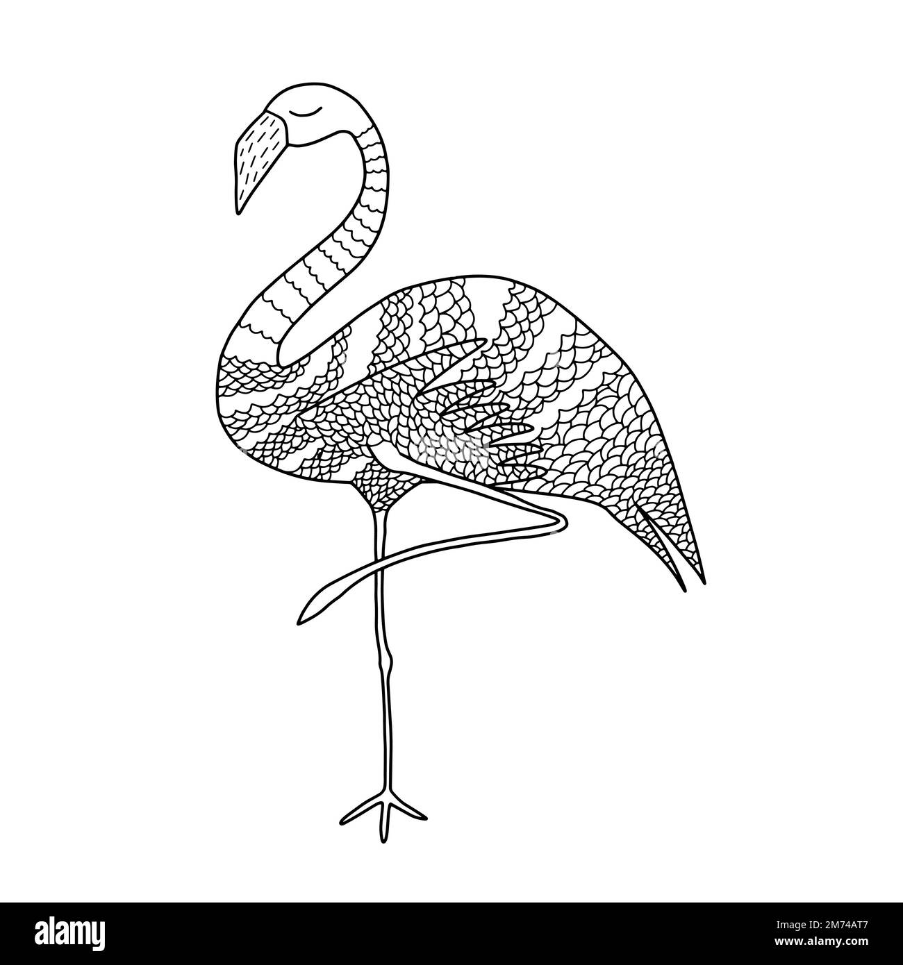 Flamingo vector coloring page Stock Vector Image & Art - Alamy