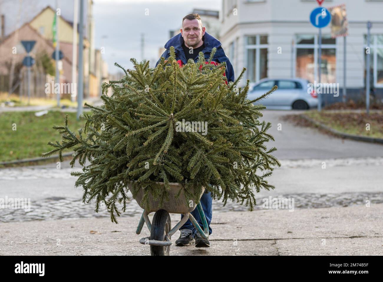 Knuckle tree hi-res stock photography and images - Alamy