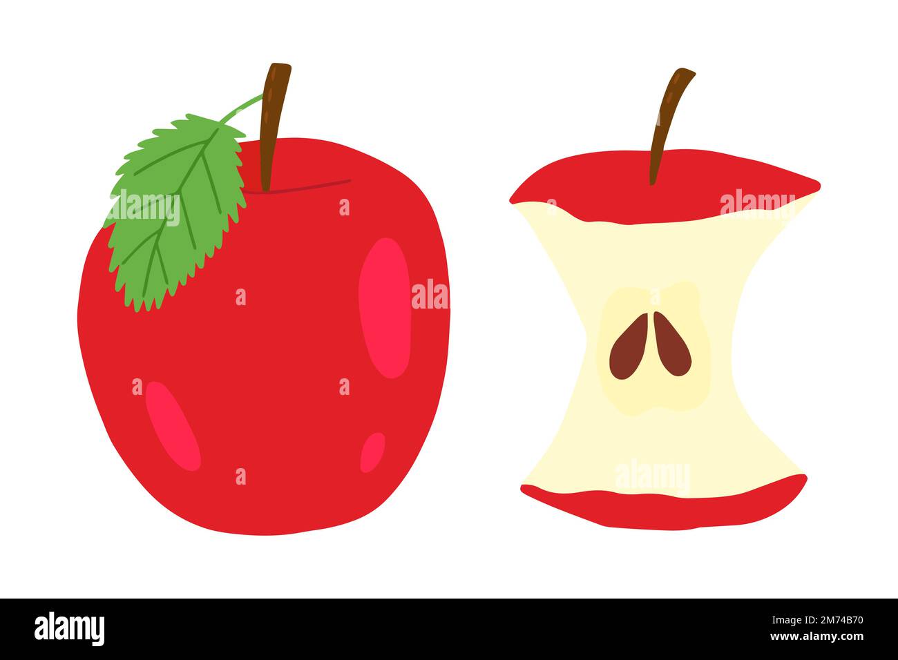 Whole apple and bit of apple vector Stock Vector Image & Art - Alamy