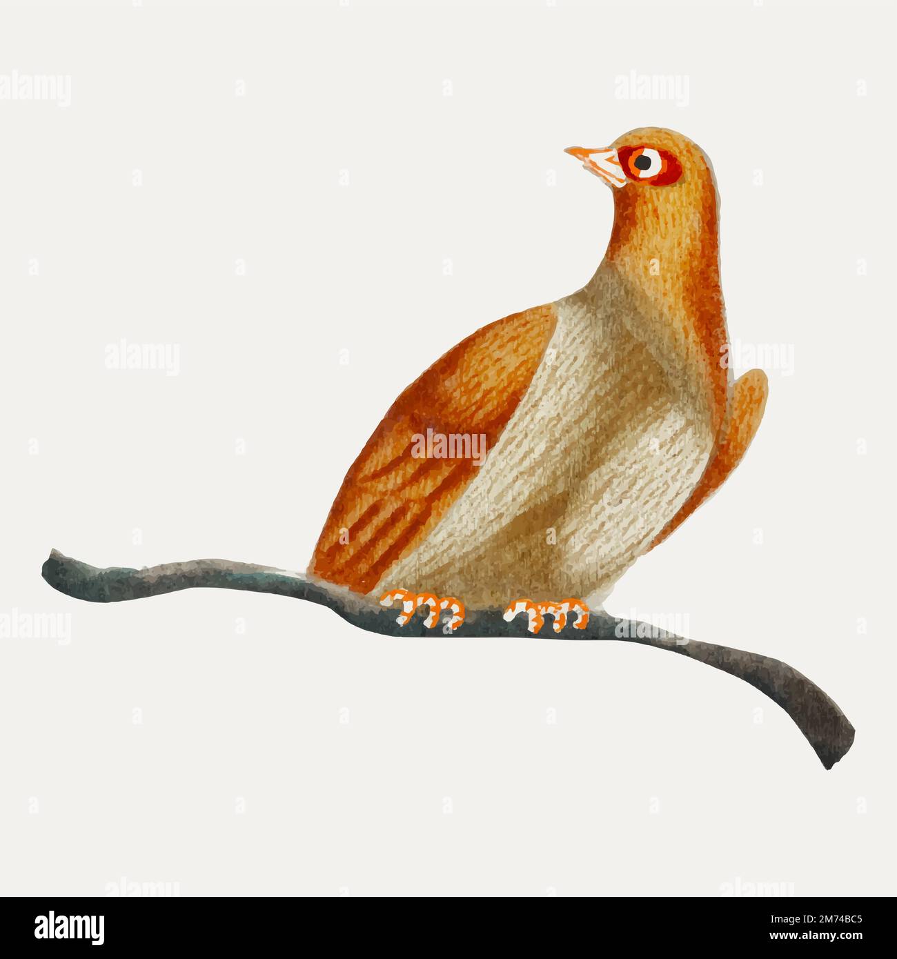 Chinese painting of a bird Stock Vector Image & Art - Alamy